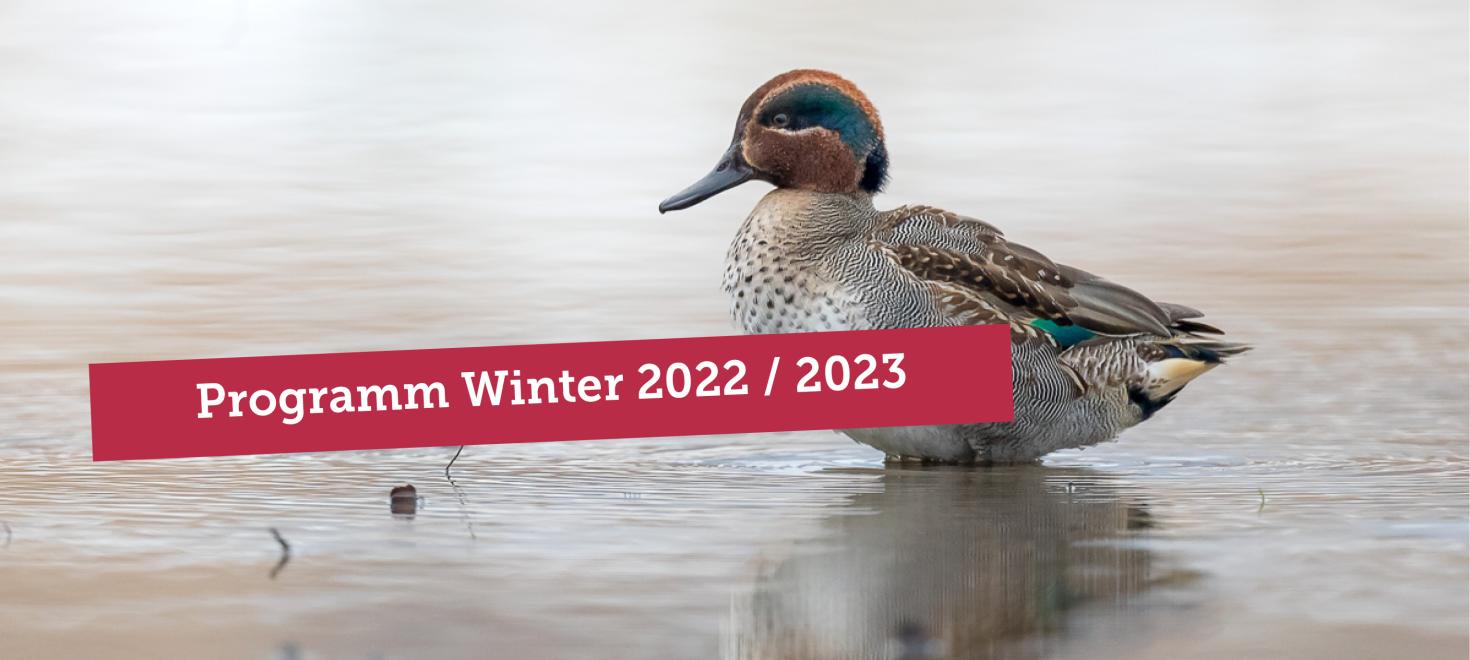 Startseite | Naturzentrum Klingnauer Stausee